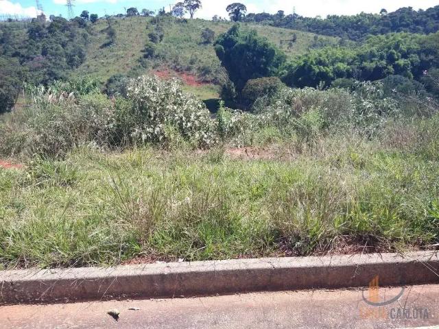 Terreno / Lote para Venda em Conselheiro Lafaiete/MG São Lucas