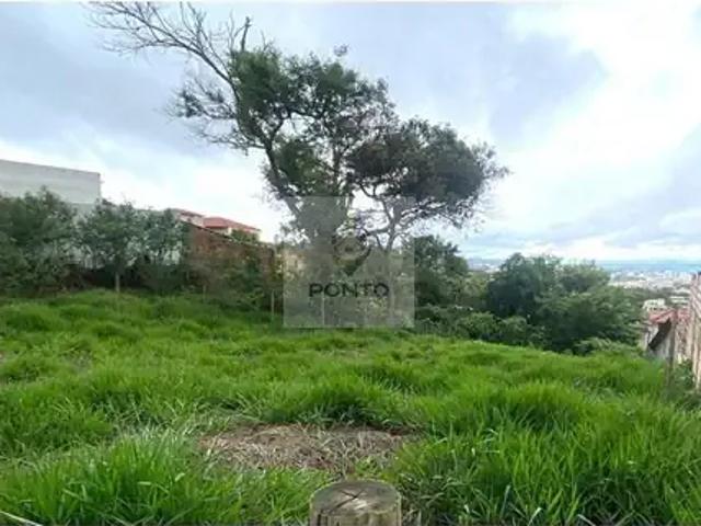 Terreno / Lote para Venda em Conselheiro Lafaiete/MG São Lucas