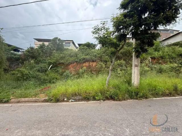 Terreno / Lote para Venda em Conselheiro Lafaiete/MG São Marcos