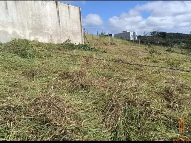 Terreno / Lote para Venda em Conselheiro Lafaiete/MG Vila Veneza