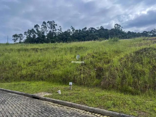 Terreno / Lote para Venda em Cocal do Sul/SC Jardim das Palmeiras