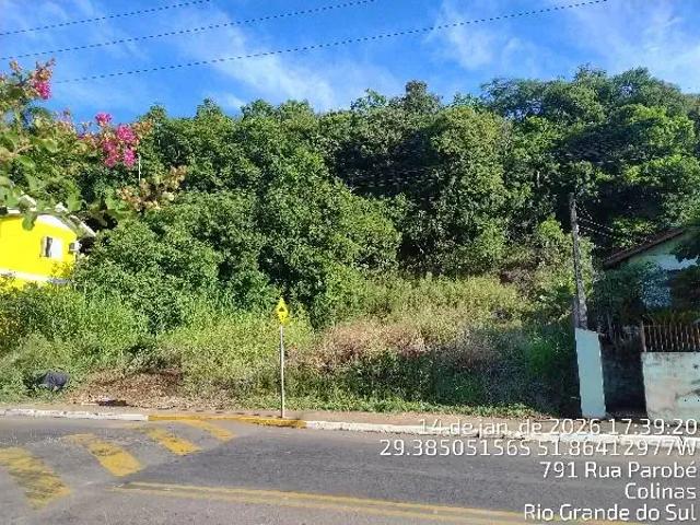 Terreno / Lote para Venda em Colinas/RS Centro