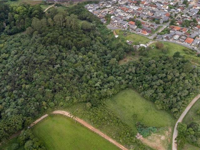 Terreno / Lote para Venda em Colombo/PR Colônia Antônio Prado
