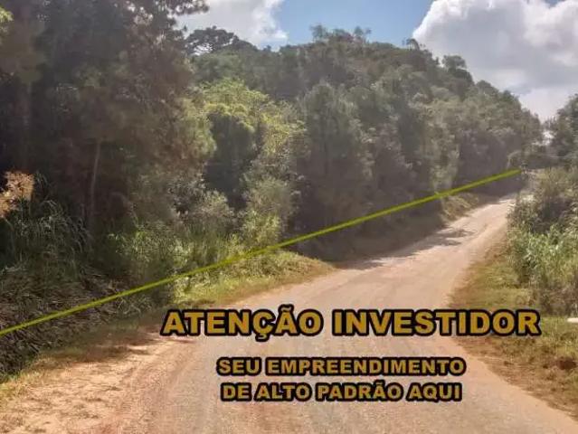 Terreno / Lote para Venda em Colombo/PR Colônia Faria