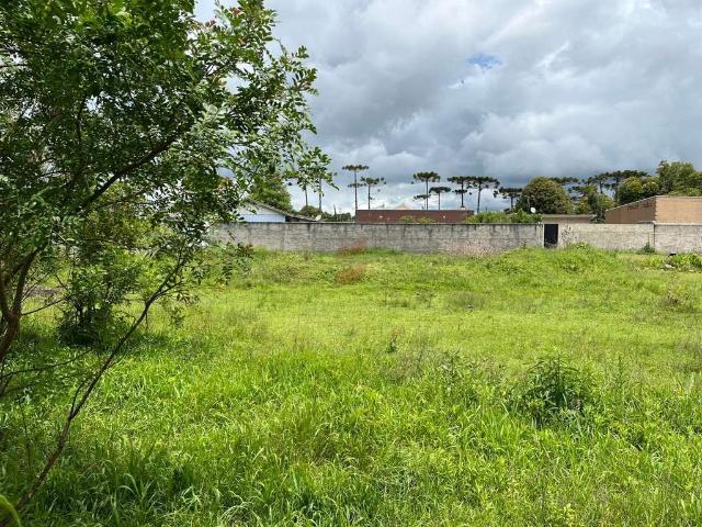 Terreno / Lote para Venda em Colombo/PR Canguiri