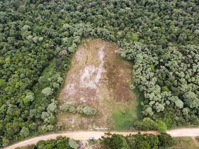 Terreno / Lote para Venda em Colombo/PR Arruda