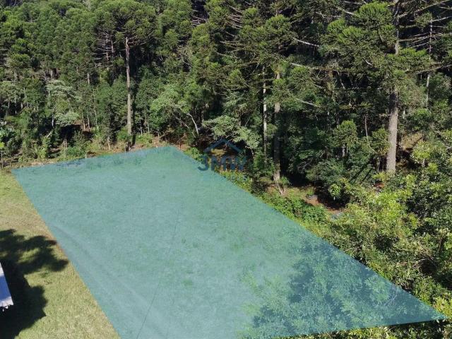 Terreno / Lote para Venda em Colombo/PR Bacaetava