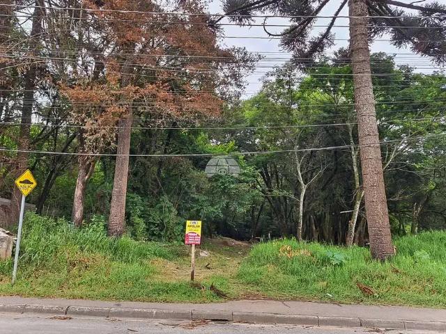 Terreno / Lote para Venda em Colombo/PR Guaraituba