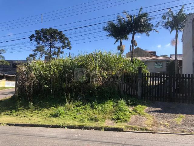 Terreno / Lote para Venda em Colombo/PR Maracanã
