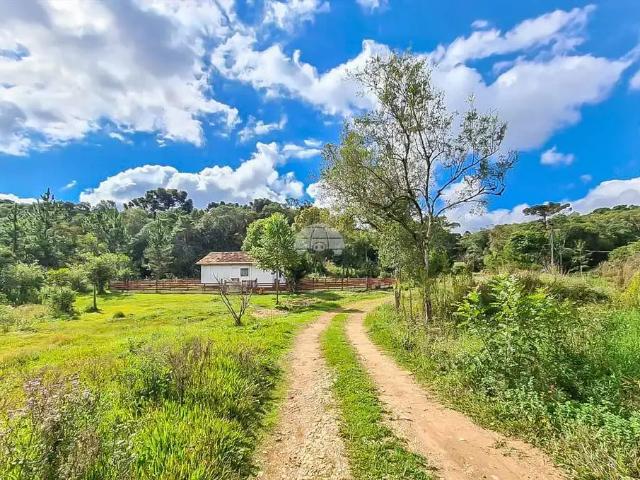 Terreno / Lote para Venda em Colombo/PR São Dimas