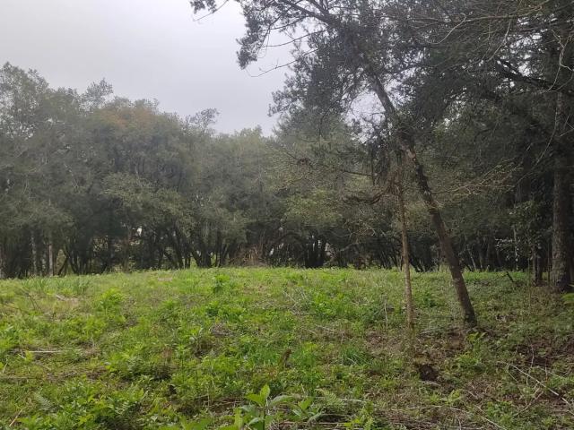 Terreno / Lote para Venda em Colombo/PR São Gabriel