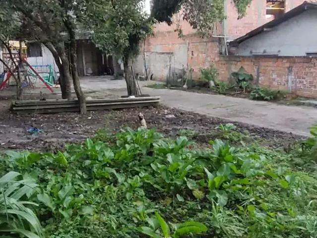 Terreno / Lote para Venda em Colombo/PR São Gabriel