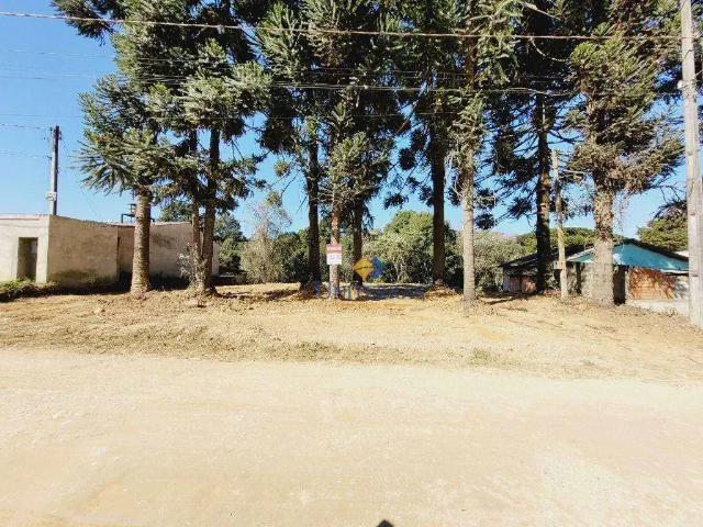 Terreno / Lote para Venda em Colombo/PR Parque do Embu