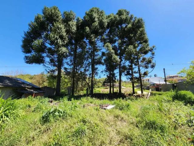 Terreno / Lote para Venda em Colombo/PR Parque do Embu