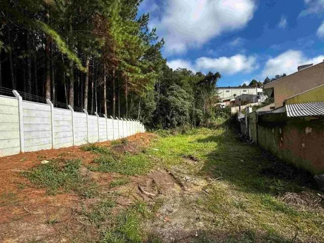 Terreno / Lote para Venda em Colombo/PR Embu