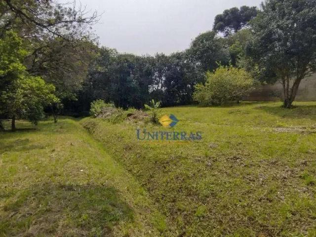 Terreno / Lote para Venda em Colombo/PR Roça Grande