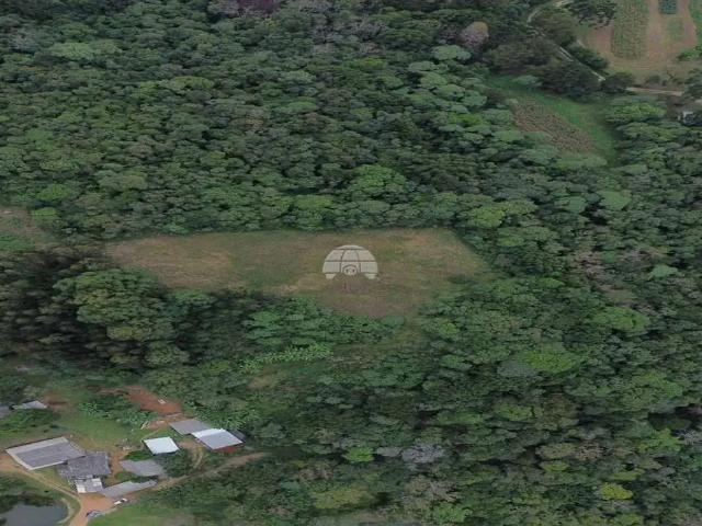 Terreno / Lote para Venda em Colombo/PR Roça Grande