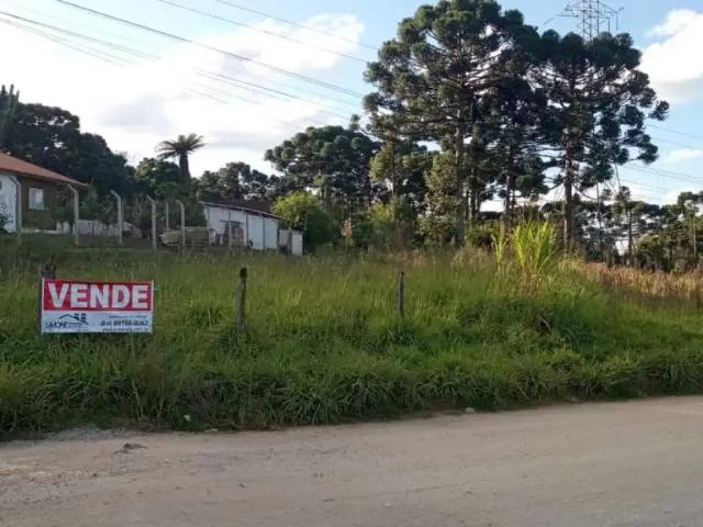 Terreno / Lote para Venda em Colombo/PR Roseira