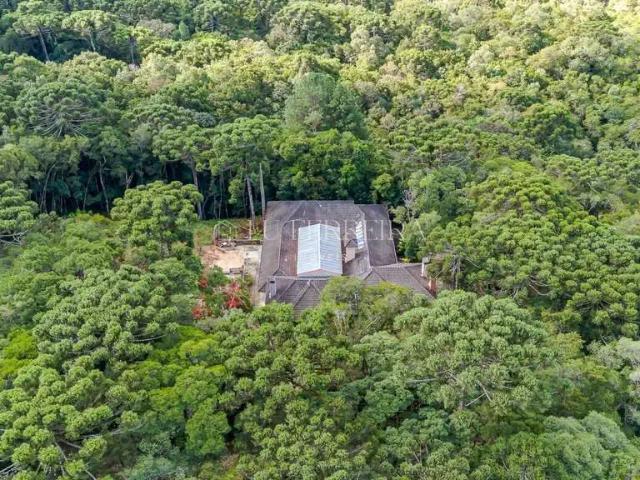 Terreno / Lote para Venda em Colombo/PR Roseira