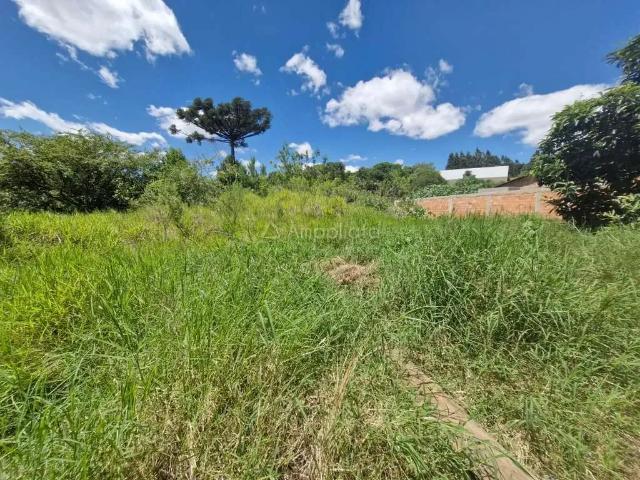 Terreno / Lote para Venda em Colombo/PR Rincão 2 Quartos
