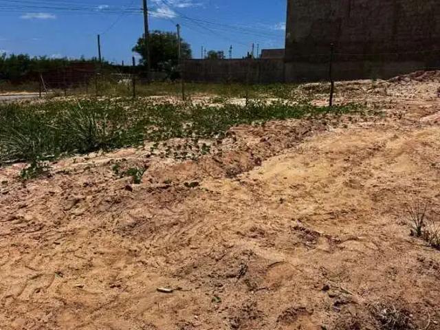 Terreno / Lote para Venda em Coqueiro Seco/AL Cadoz
