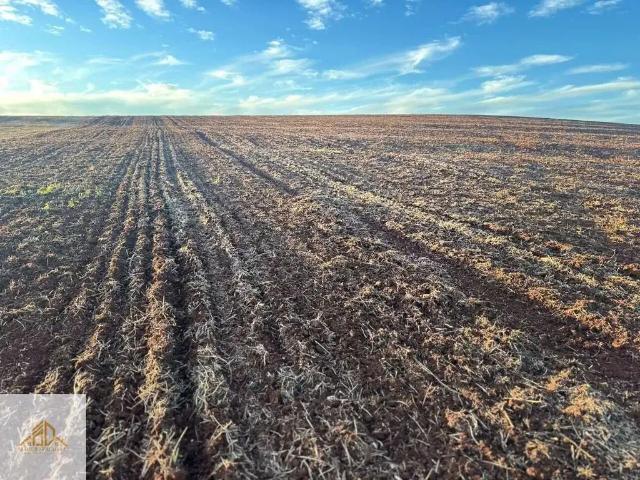 Terreno / Lote para Venda em Coqueiros do Sul/RS Centro