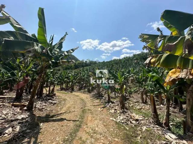 Terreno / Lote para Venda em Corupá/SC Caminho Pequeno