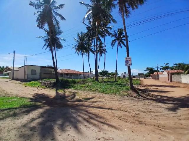 Terreno / Lote para Venda em Coruripe/AL Barreiras