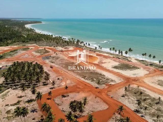 Terreno / Lote para Venda em Coruripe/AL Centro