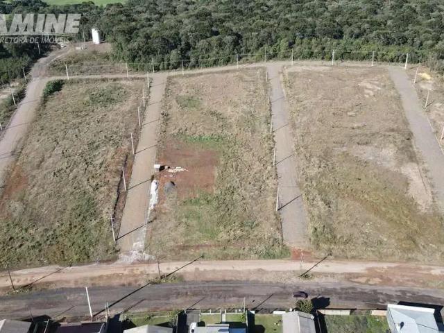 Terreno / Lote para Venda em Coronel Domingos Soares/PR Centro
