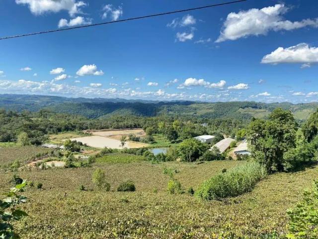 Terreno / Lote para Venda em Coronel Pilar/RS Zona Rural