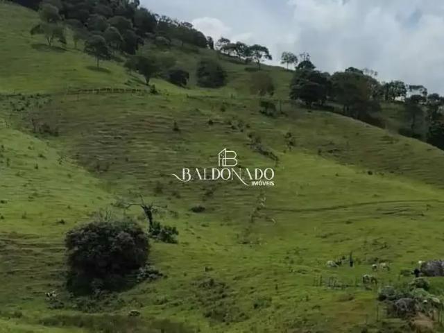 Terreno / Lote para Venda em Córrego do Bom Jesus/MG Centro