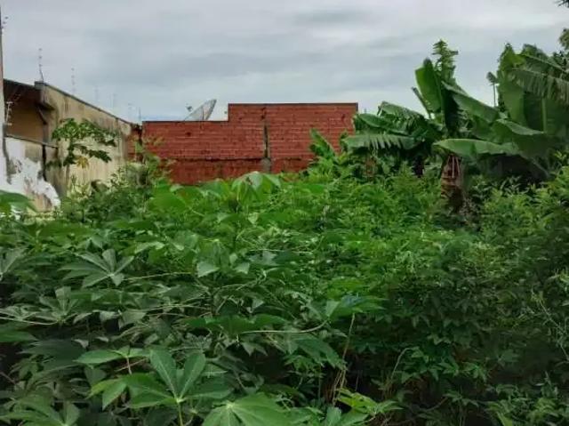 Terreno / Lote para Venda em Cosmópolis/SP Jardim Santa Rosa