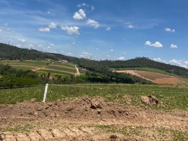 Terreno / Lote para Venda em Cotia/SP Cachoeira