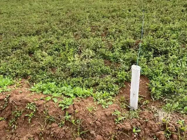 Terreno / Lote para Venda em Cotia/SP Cachoeira