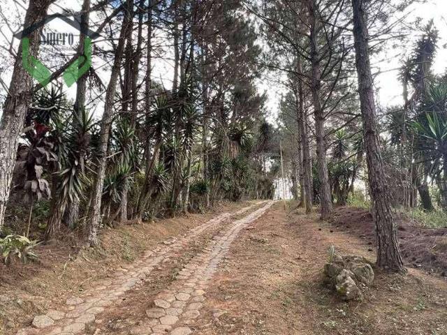 Terreno / Lote para Venda em Cotia/SP Centro