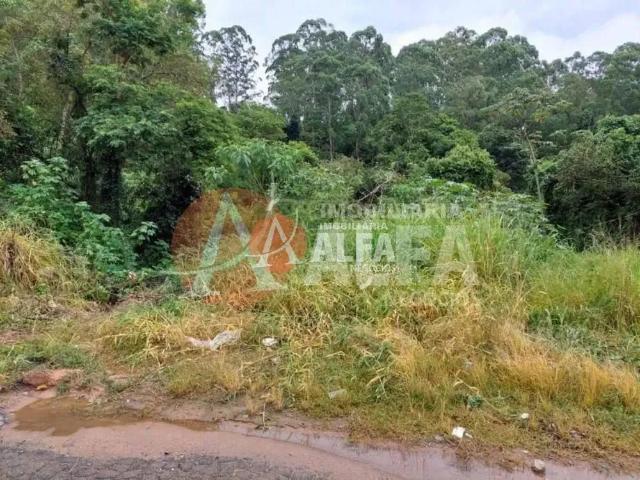Terreno / Lote para Venda em Cotia/SP Centro