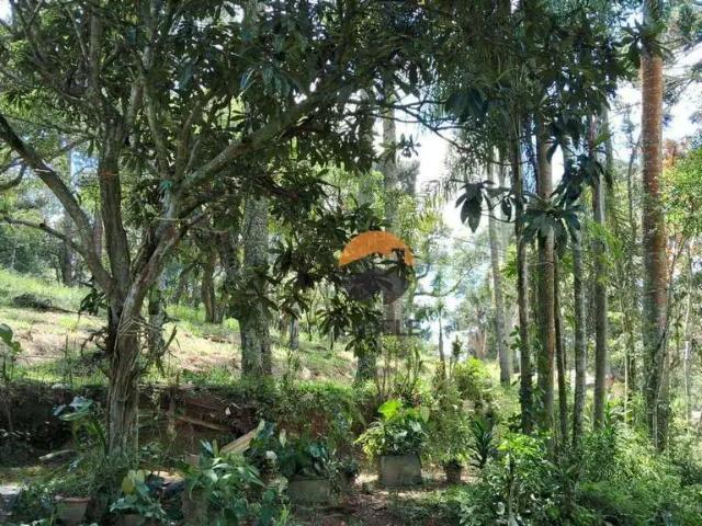 Terreno / Lote para Venda em Cotia/SP Centro Caucaia do Alto