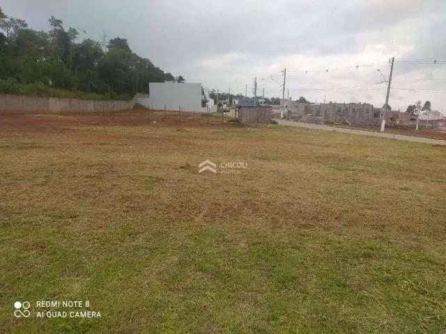 Terreno / Lote para Venda em Cotia/SP Chácara Real Caucaia do Alto
