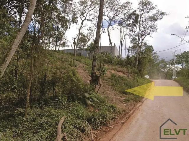 Terreno / Lote para Venda em Cotia/SP Chácara Recanto Verde