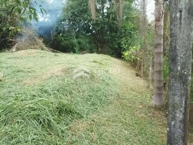 Terreno / Lote para Venda em Cotia/SP Chácara Represinha