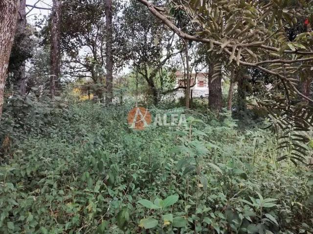 Terreno / Lote para Venda em Cotia/SP Gramado