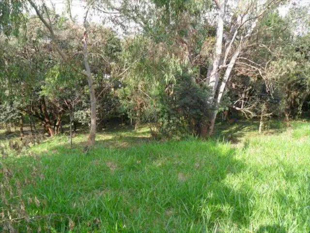 Terreno / Lote para Venda em Cotia/SP Granja Viana