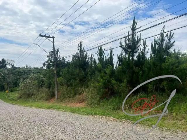 Terreno / Lote para Venda em Cotia/SP Granja Viana