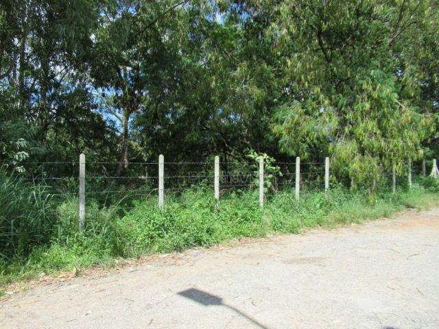 Terreno / Lote para Venda em Cotia/SP Granja Viana