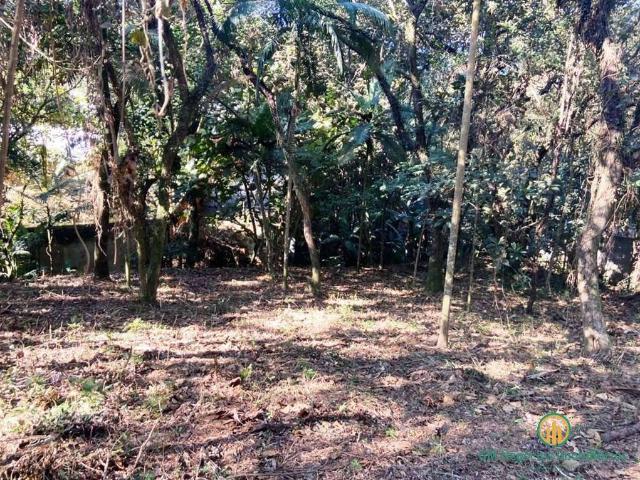 Terreno / Lote para Venda em Cotia/SP Granja Viana