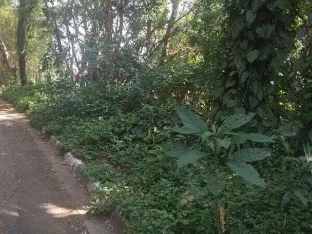 Terreno / Lote para Venda em Cotia/SP Granja Viana