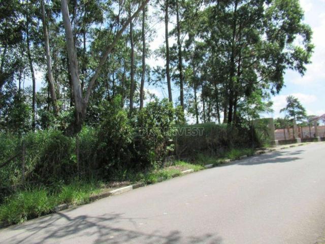 Terreno / Lote para Venda em Cotia/SP Granja Viana