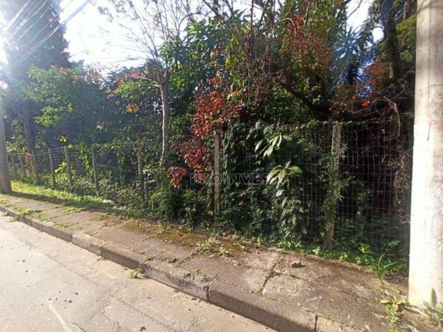 Terreno / Lote para Venda em Cotia/SP Granja Viana