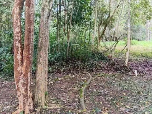 Terreno / Lote para Venda em Cotia/SP Granja Carneiro Viana
